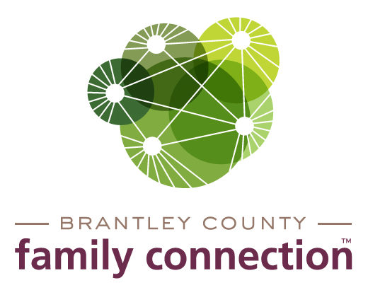 A Guide to Exploring Trauma: A Blog Series | Brantley County – GAFCP